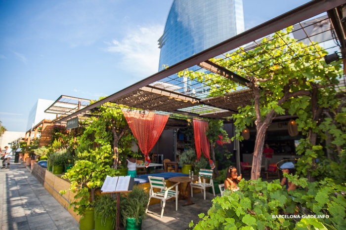 Gallito - Barcelona Guide